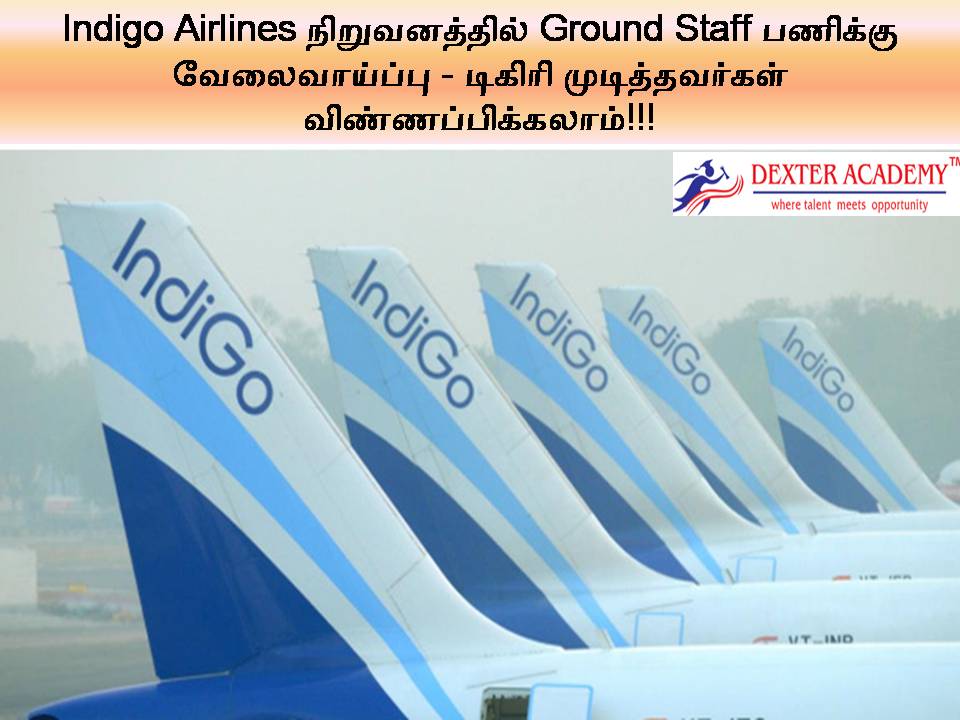 Indigo Airlines நிறுவனத்தில் Ground Staff பணிக்கு வேலைவாய்ப்பு - டிகிரி ...
